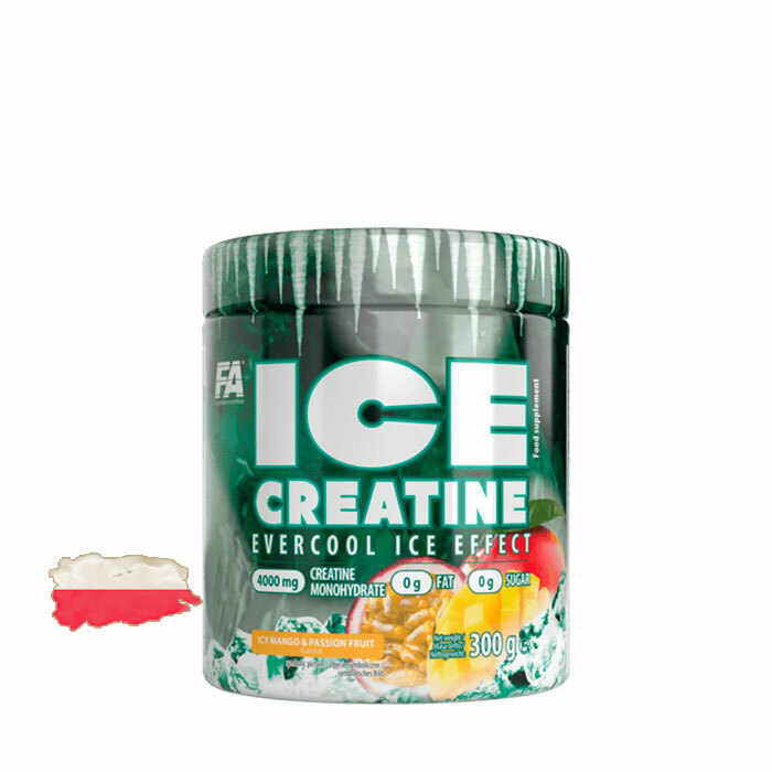 Креатин моногидрат FA ICE CREATINE - 300 грамм, 60 порций